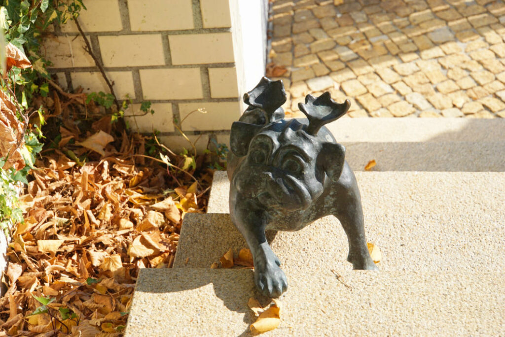 Mission: Waldmops - Entdeckung in Brandenburg an der Havel