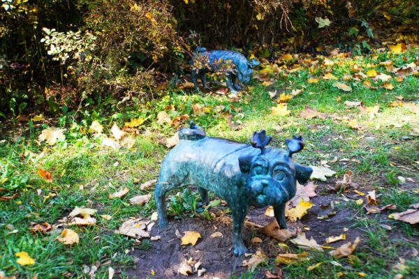 Mission: Waldmops - Entdeckung in Brandenburg an der Havel