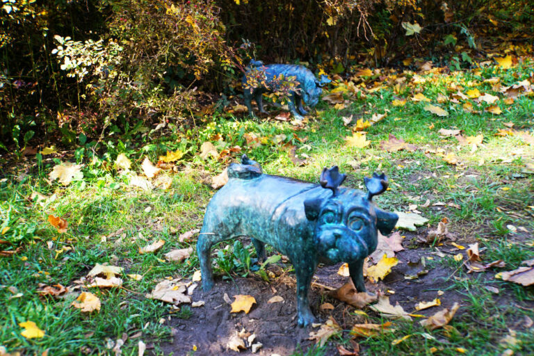 Mission: Waldmops - Entdeckung in Brandenburg an der Havel