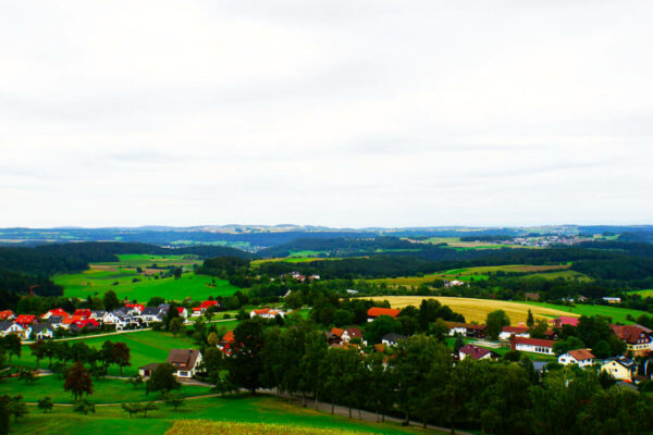 Zauberwald im Zauberland von Loßburg - Wanderung für jeden