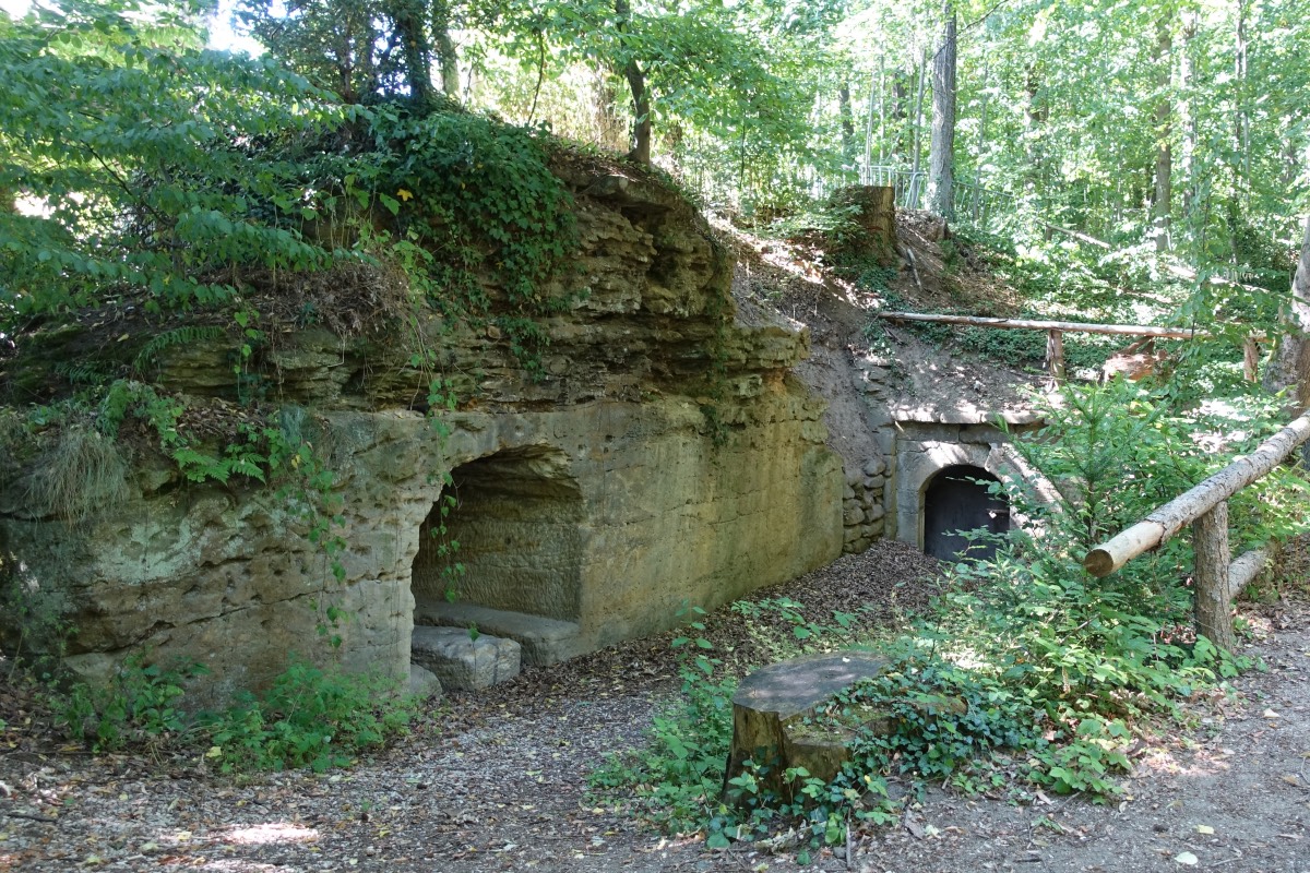 Forchheimer Kellerwald – was für ein „Biergarten“!