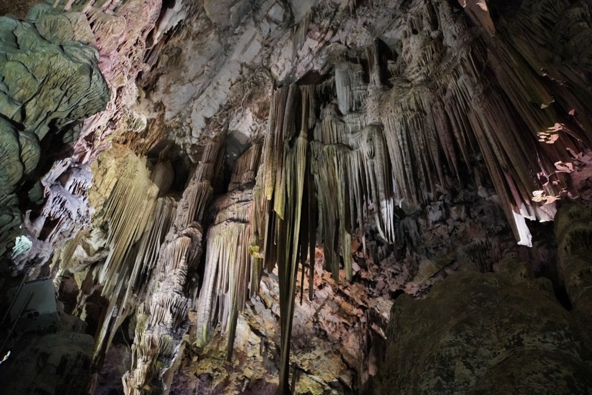 Affenfelsen von Gibraltar - lohnt sich der Besuch?