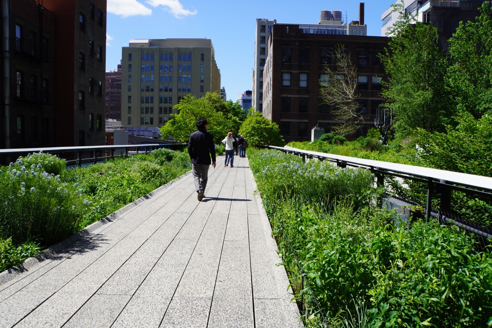 High Line NYC: Der ultimative Guide für deinen Spaziergang