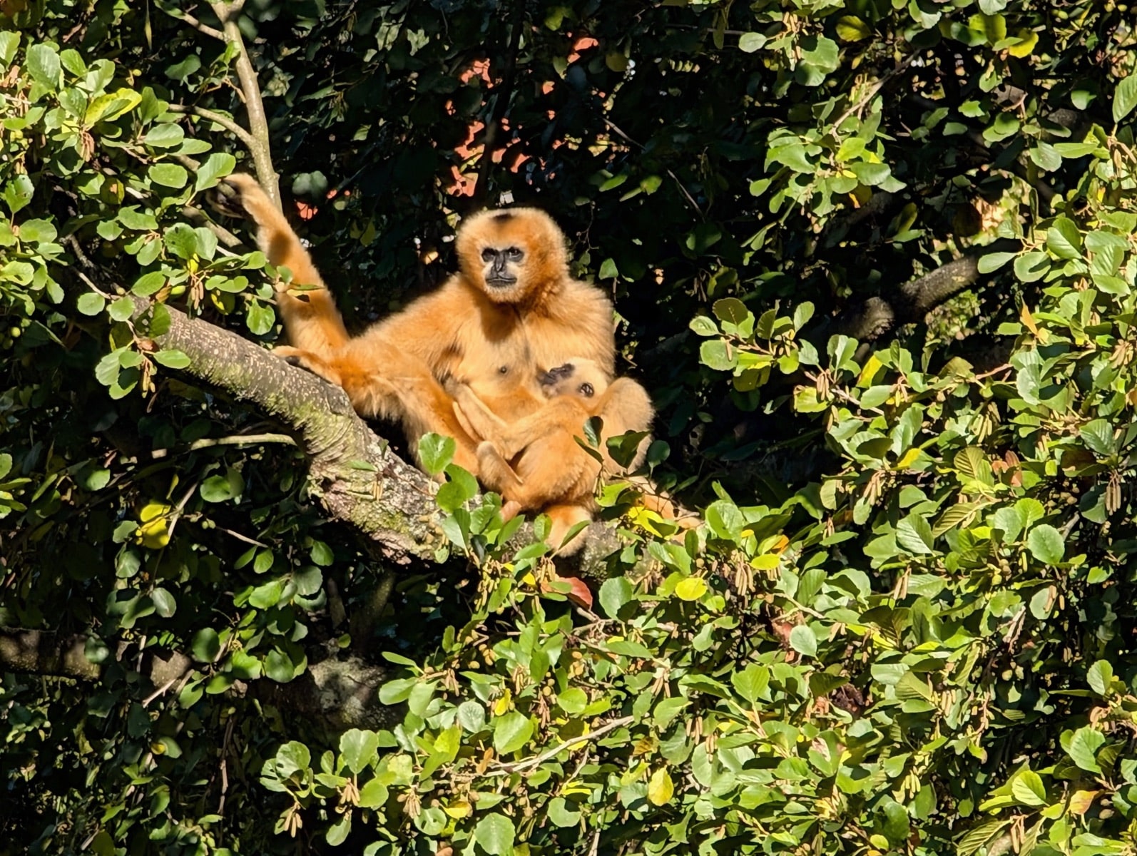 Einzigartig in Tschechien: Zoo & Botanischer Garten Pilsen
